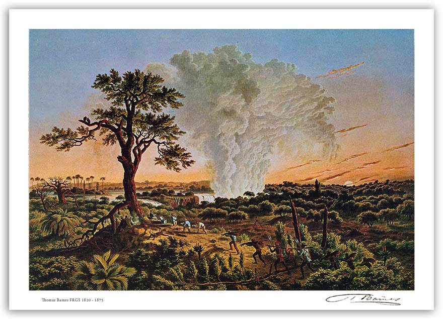 Thomas Baines Fine Art Prints : David Dodds